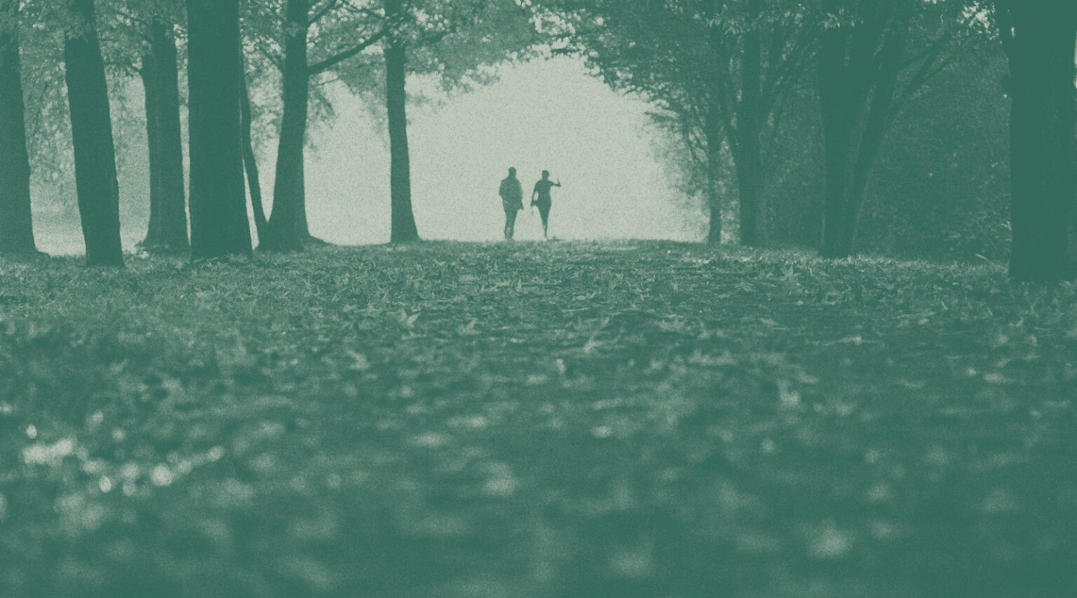 Our Approach - The Freedom Fight