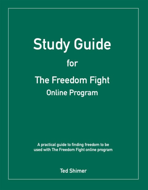 Study Guide - The Freedom Fight