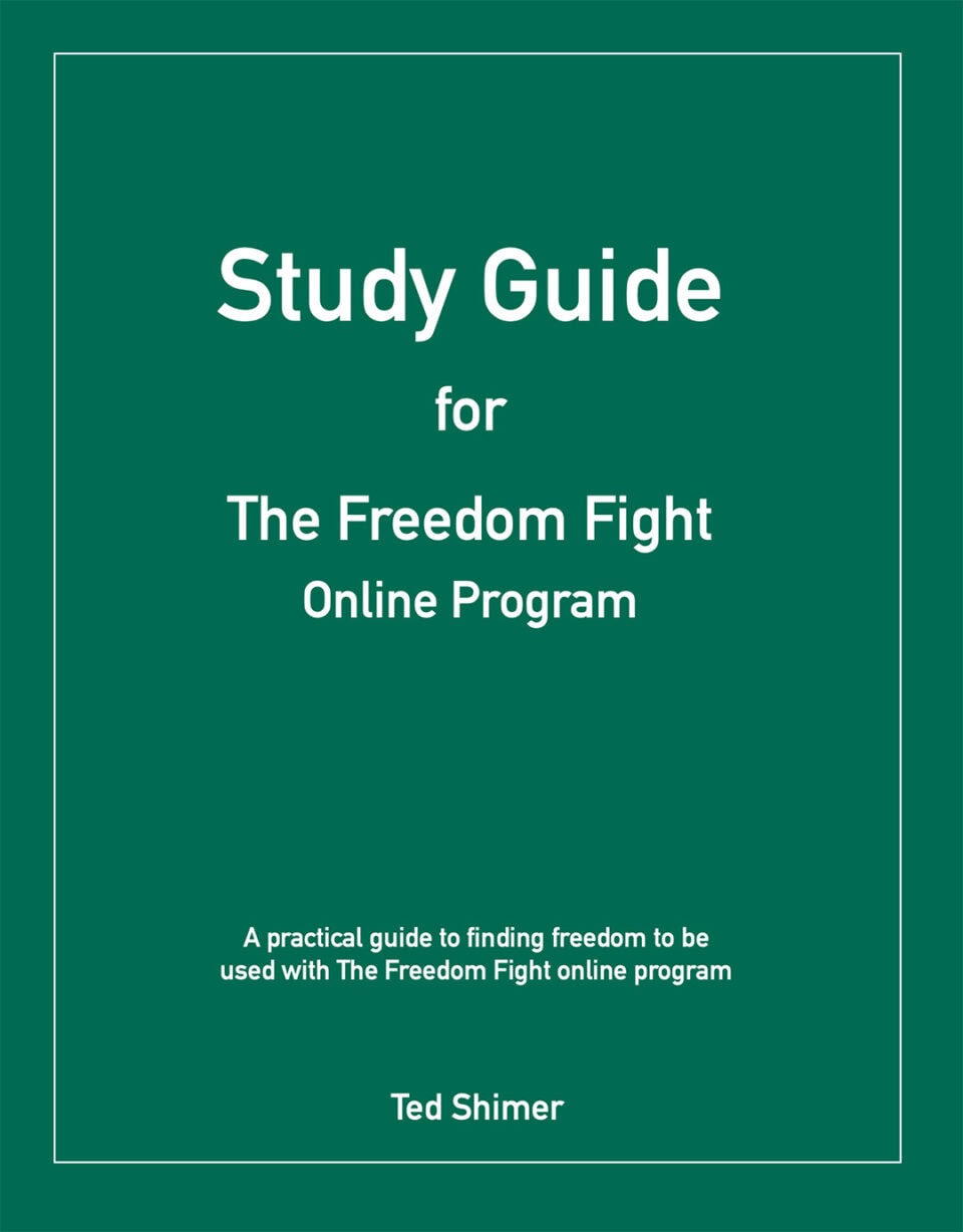 Study Guide - The Freedom Fight